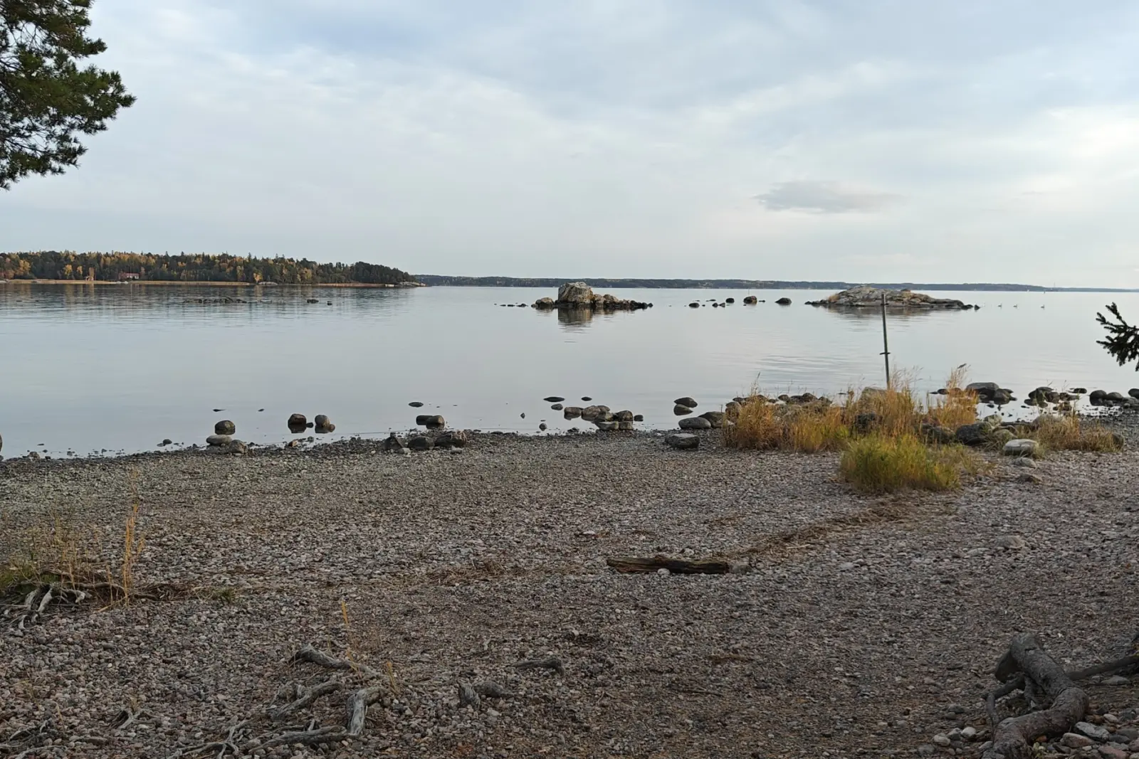 Original Sokos Hotel Wiklund Turku toward sustainable travel ...