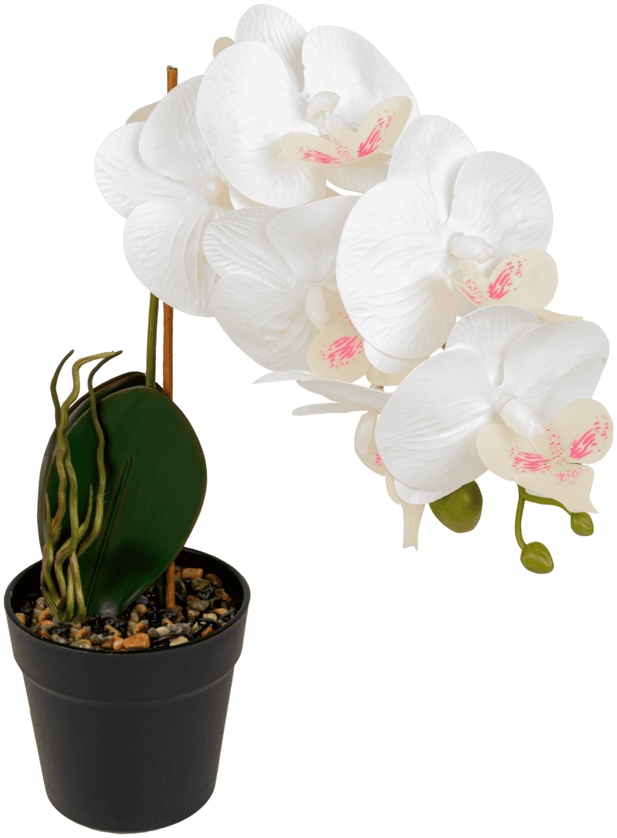 Tekokasvi orkidea 40cm | Prisma.fi-verkkokauppa