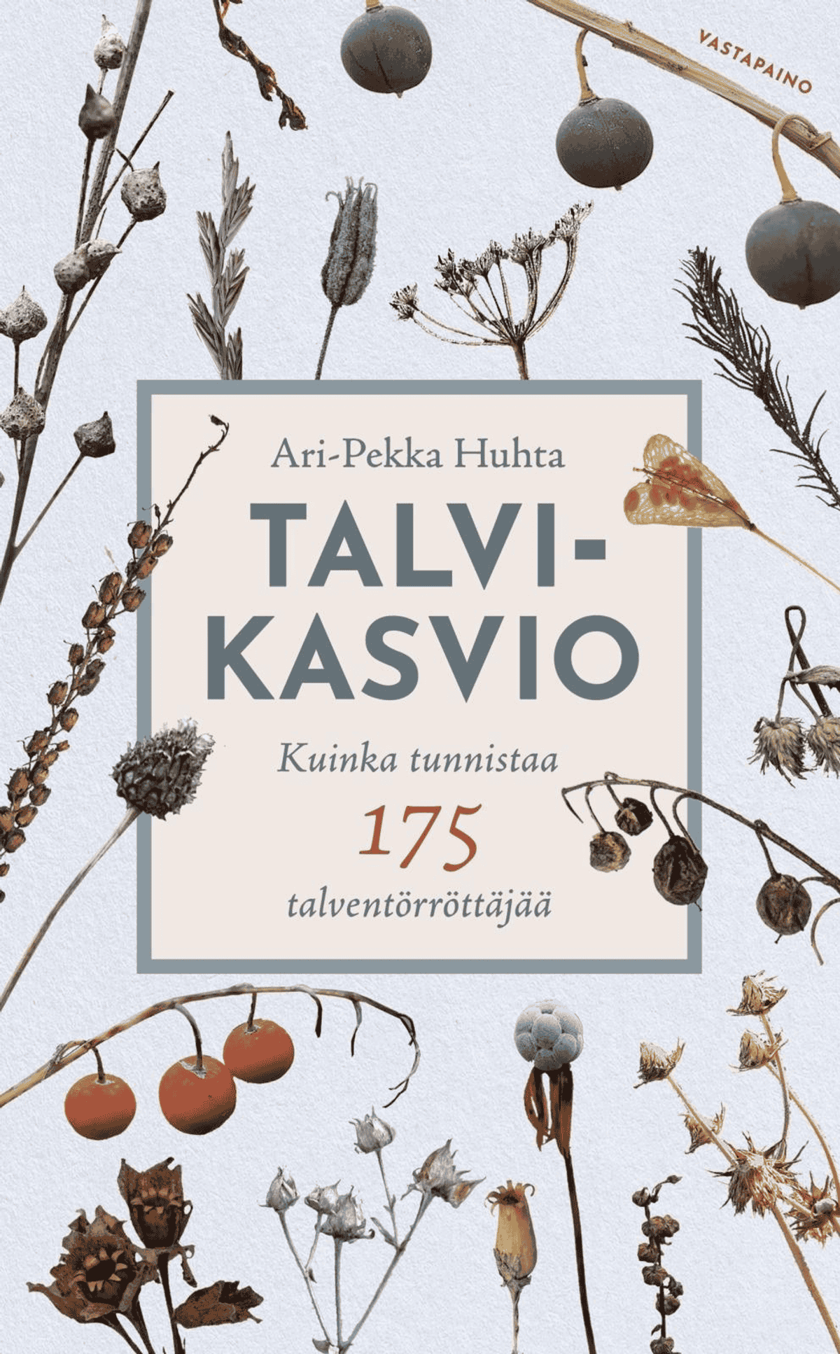 Huhta, Talvikasvio - Kuinka tunnistaa 175 talventörröttäjää | Prisma.fi ...