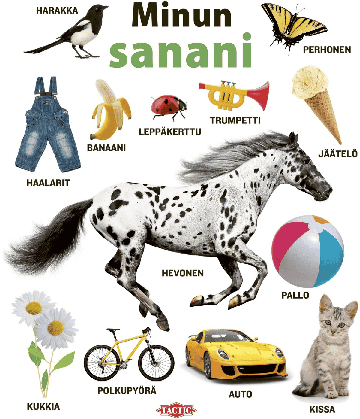 Minun sanani - Kuvasanakirja | Prisma.fi-verkkokauppa