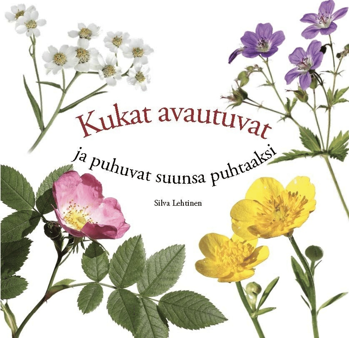 Lehtinen, Kukat avautuvat ja puhuvat suunsa puhtaaksi | Prisma.fi ...