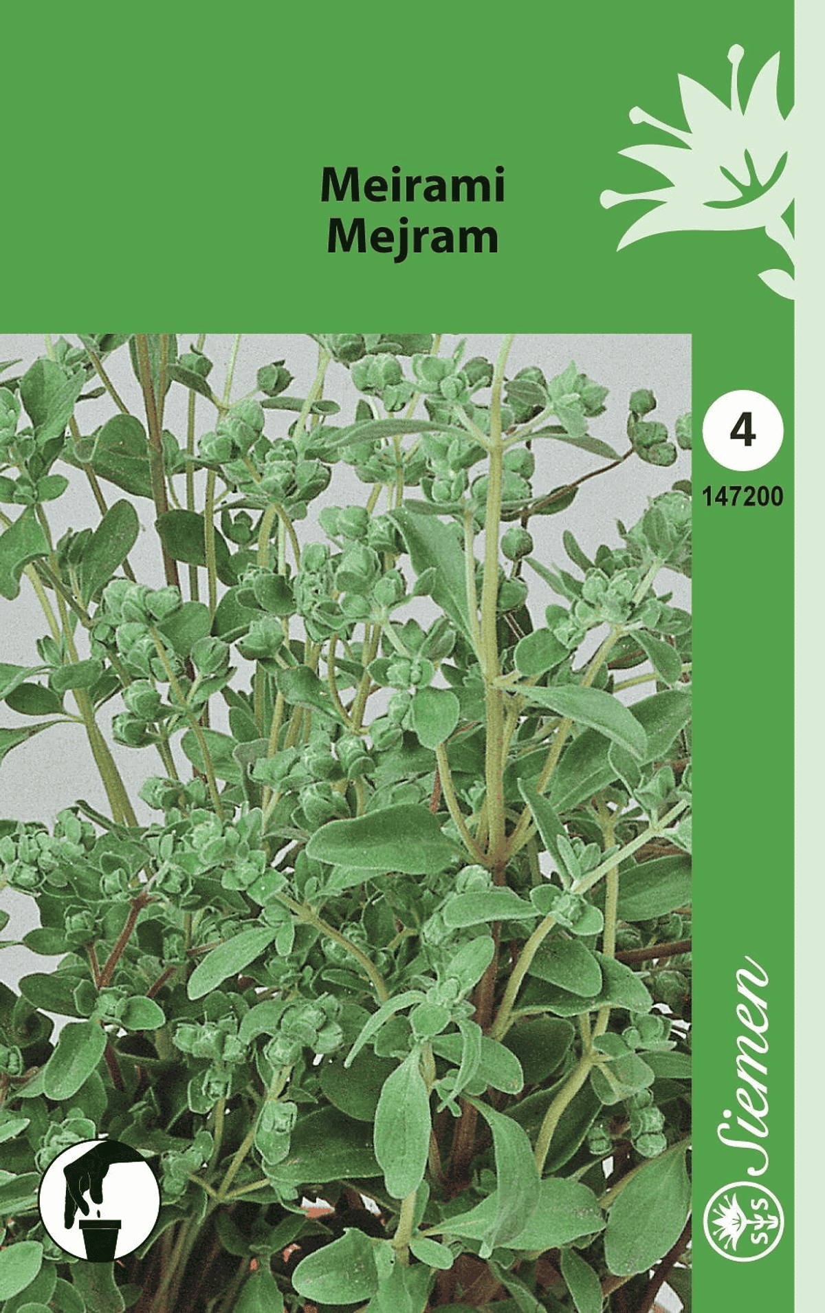 Siemen meirami eli maustemeirami | Prisma.fi-verkkokauppa