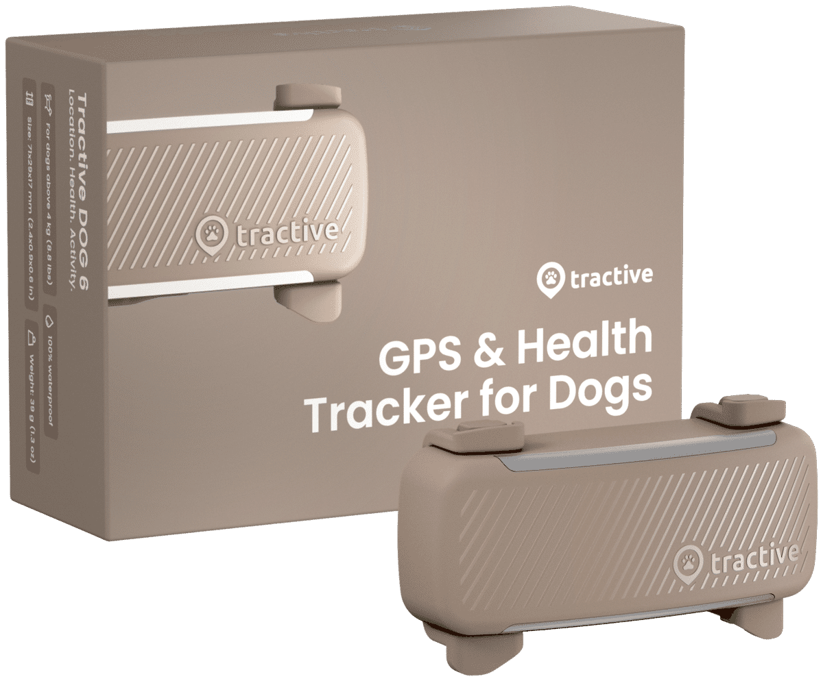 Tractive DOG 6 GPS paikannin Koiralle Ruskea Prisma fi verkkokauppa tractive-dog-6-gps-paikannin-koiralle-ruskea-prisma-fi-verkkokauppa
