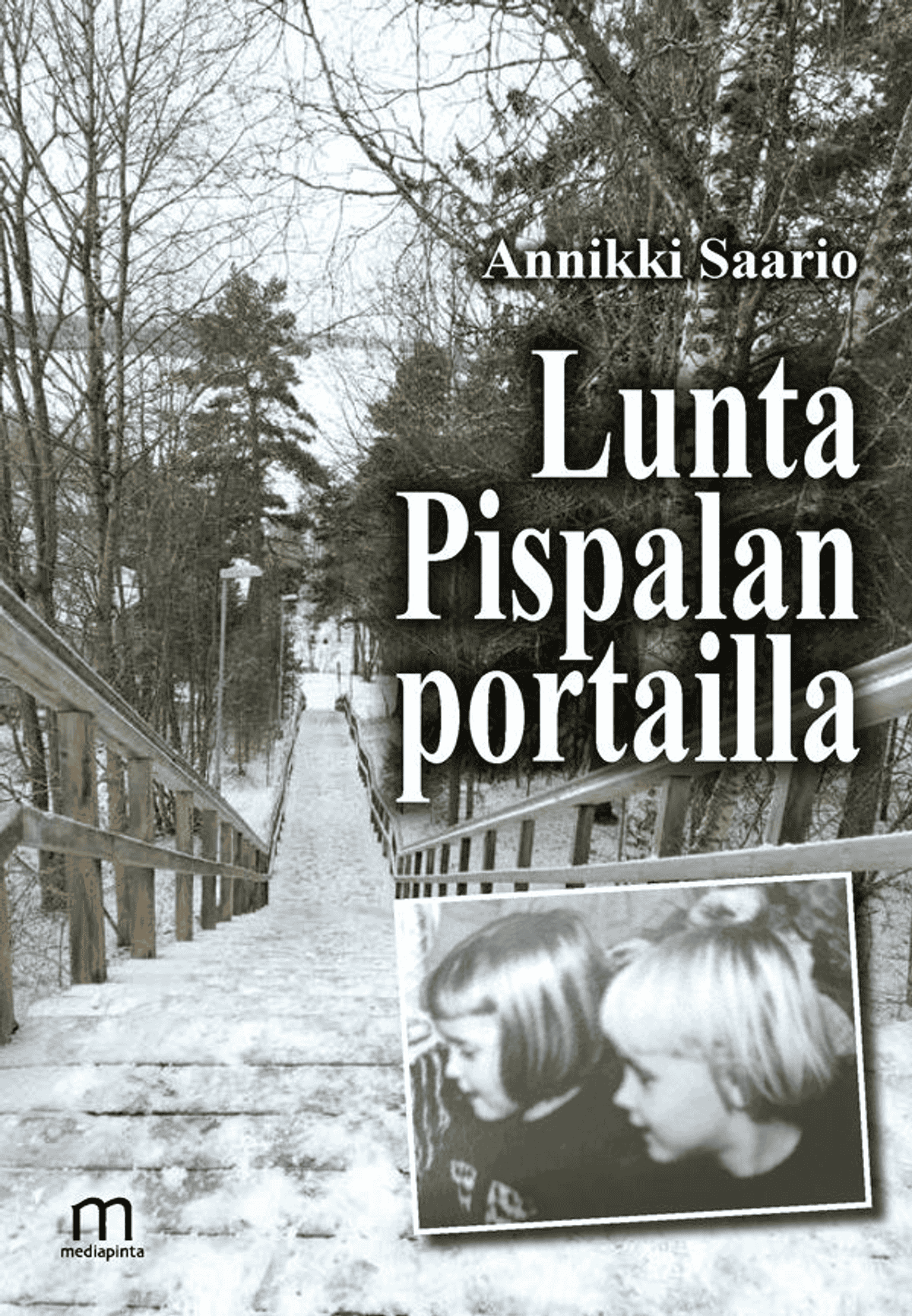 Saario, Lunta Pispalan portailla | Prisma.fi-verkkokauppa