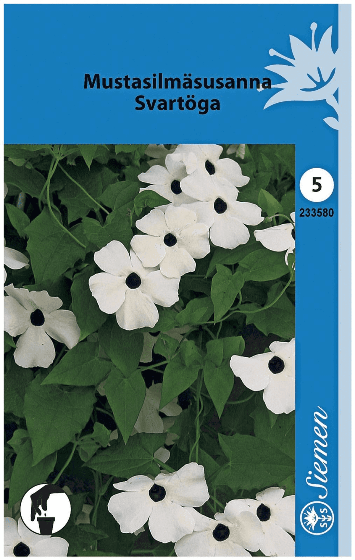 Mustasilmäsusanna valkoinen | Prisma.fi-verkkokauppa