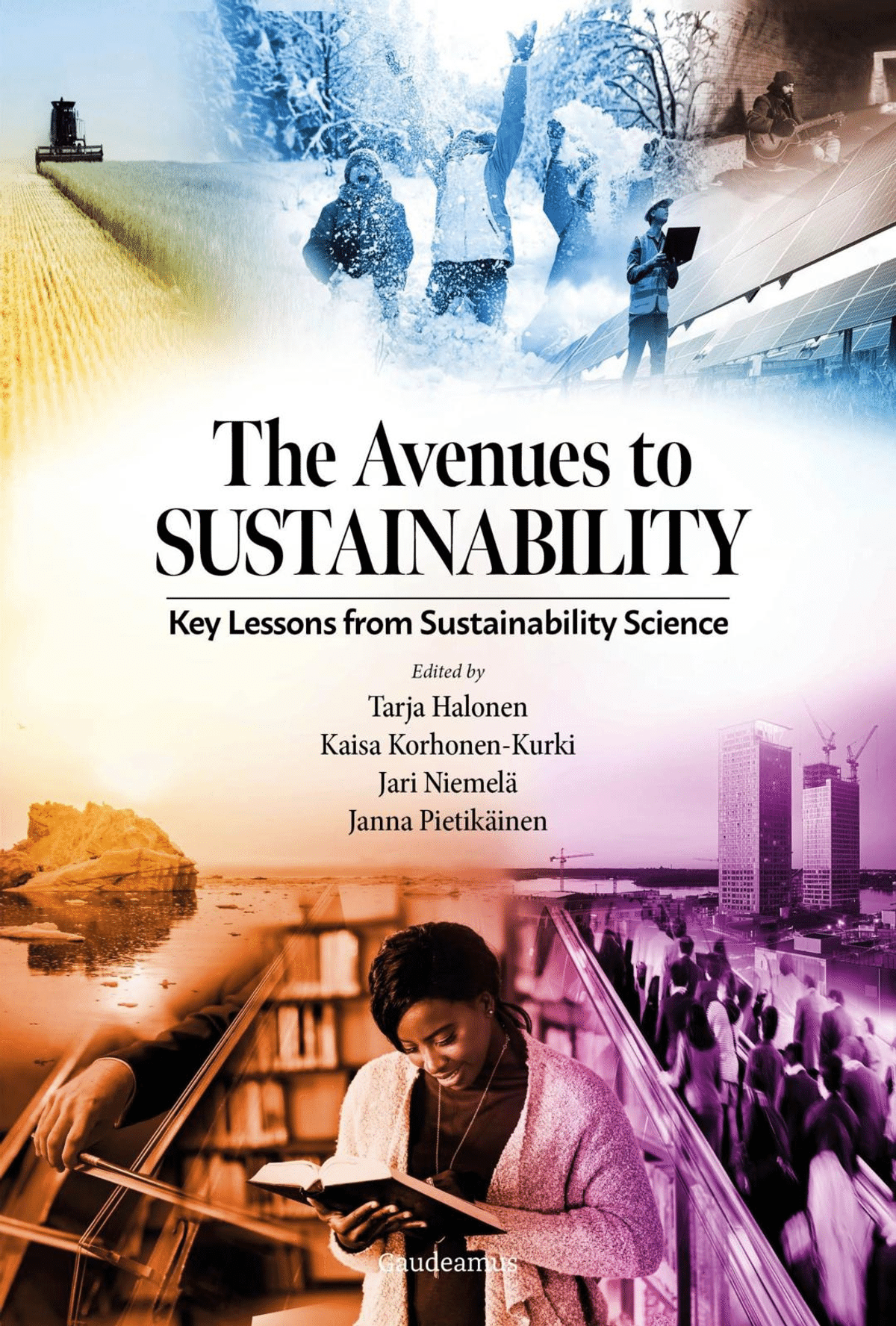The Avenues to Sustainability - Key Lessons from Sustainability Science ...