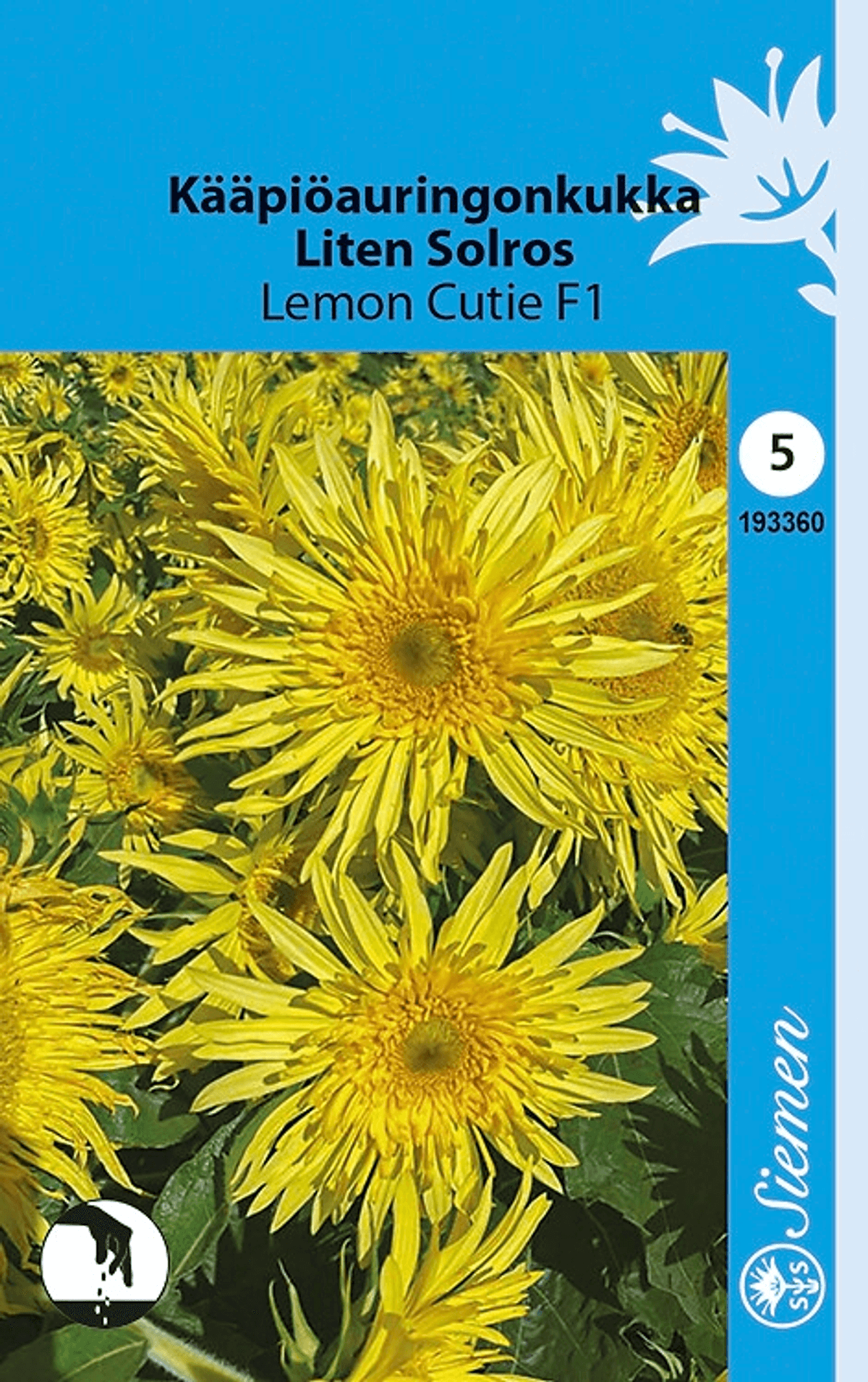 Siemen kääpiöauringonkukka Lemon Cutie F1 | Prisma.fi-verkkokauppa
