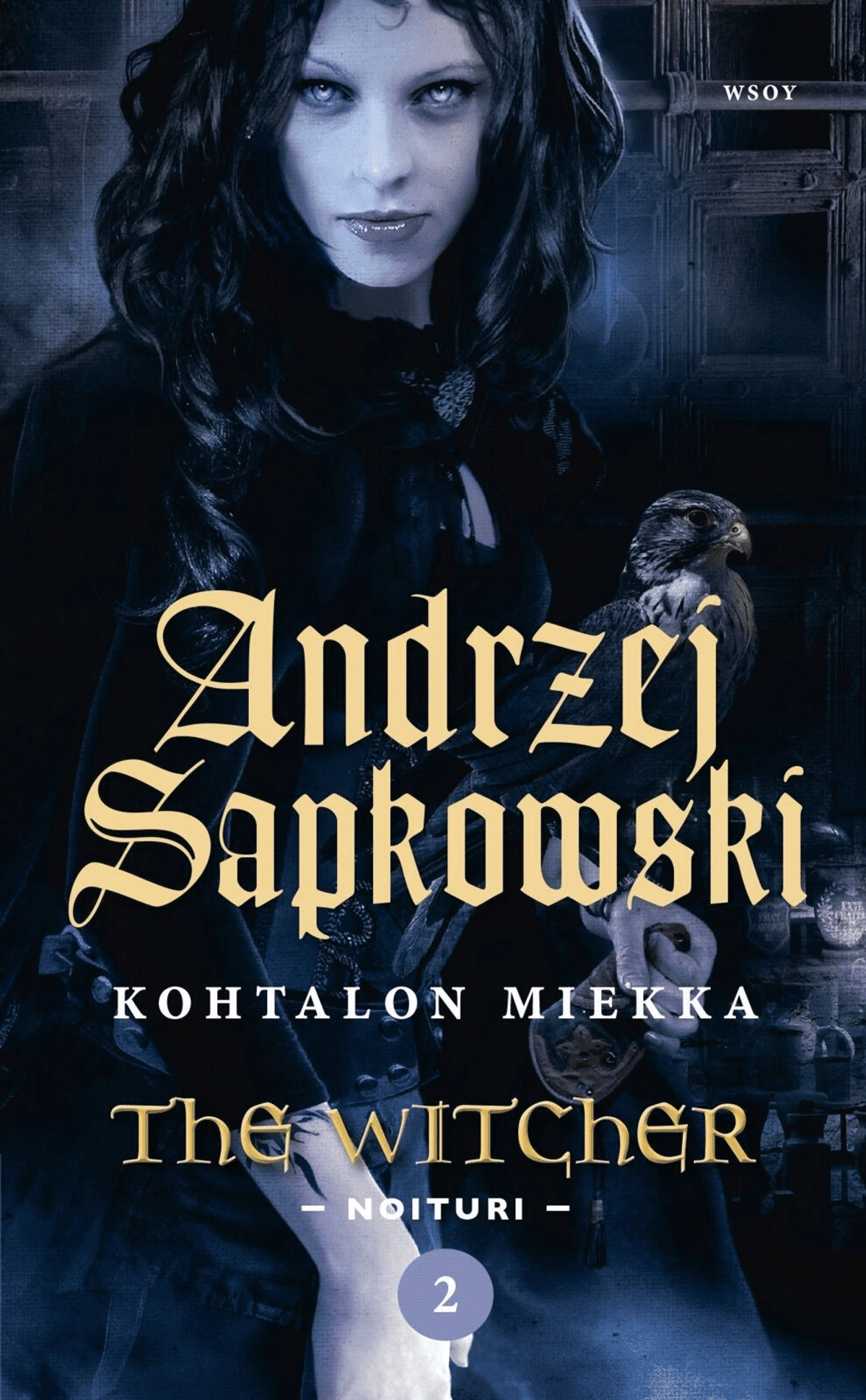 Sapkowski, Kohtalon miekka - The Witcher - Noituri 2 | Prisma.fi ...