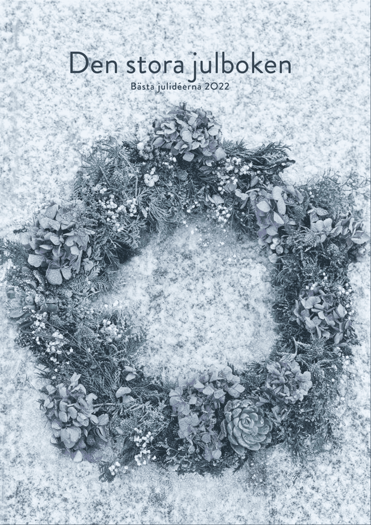 Den stora julboken - Bästa julidéerna 2022 | Prisma.fi-verkkokauppa