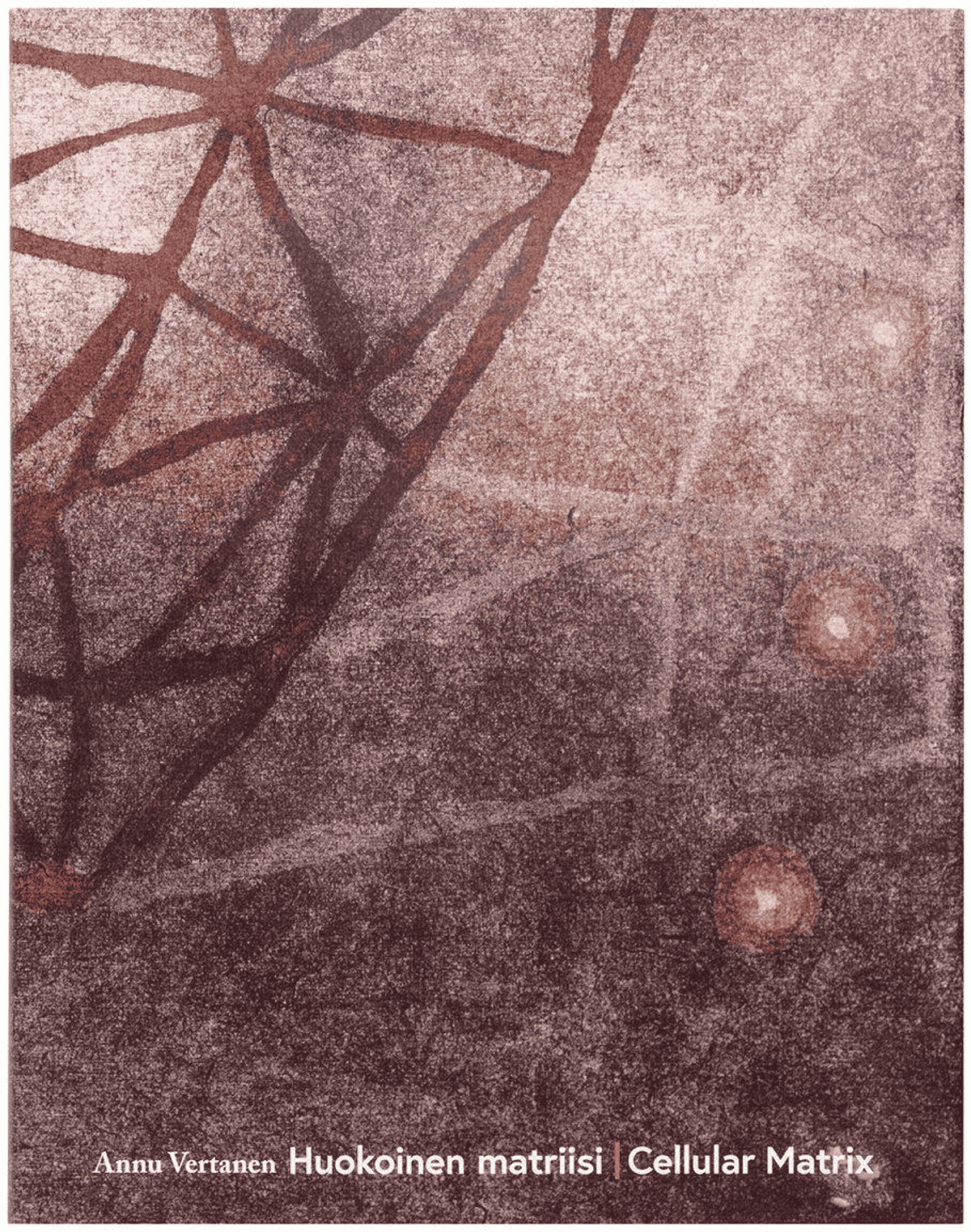 Pelzer-Montada, Annu Vertanen - Huokoinen matriisi - Cellular Matrix ...