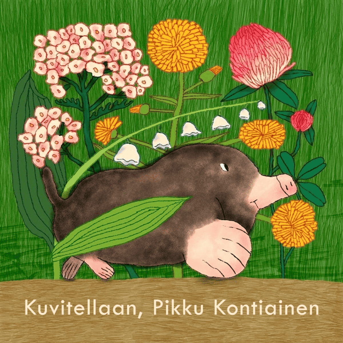 Sipilä, Kuvitellaan, Pikku Kontiainen | Prisma.fi-verkkokauppa