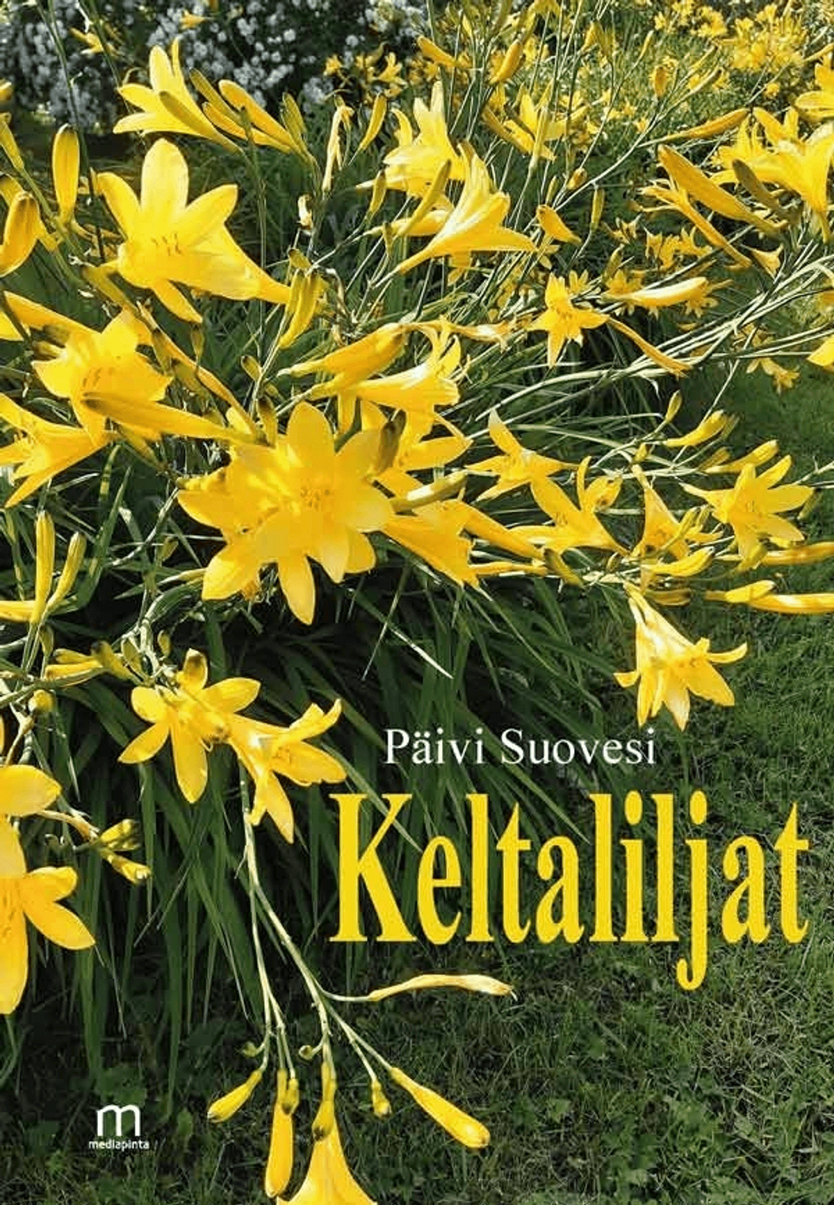 Suovesi, Keltaliljat | Prisma.fi-verkkokauppa