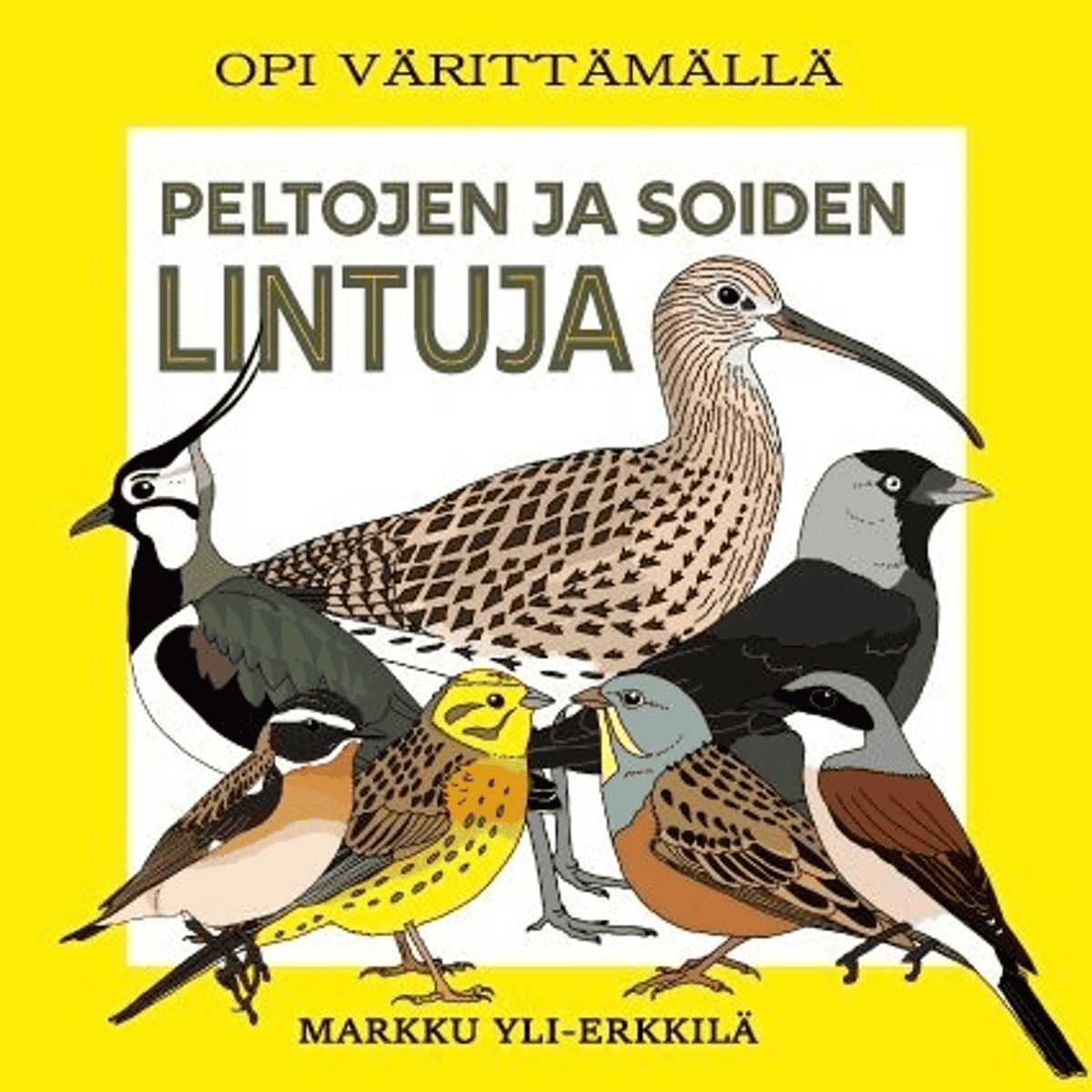Peltojen ja soiden lintuja | Prisma.fi-verkkokauppa
