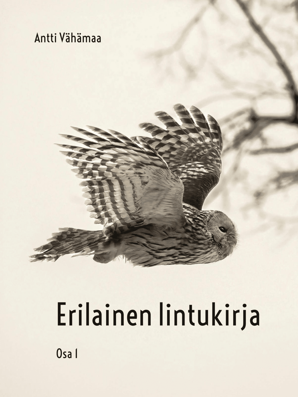 Vähämaa, Erilainen lintukirja - Osa 1 | Prisma.fi-verkkokauppa
