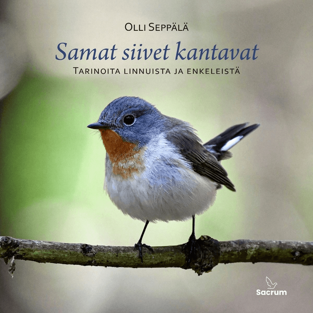 Seppälä, Samat siivet kantavat - Tarinoita linnuista ja enkeleistä | Prisma.fi-verkkokauppa