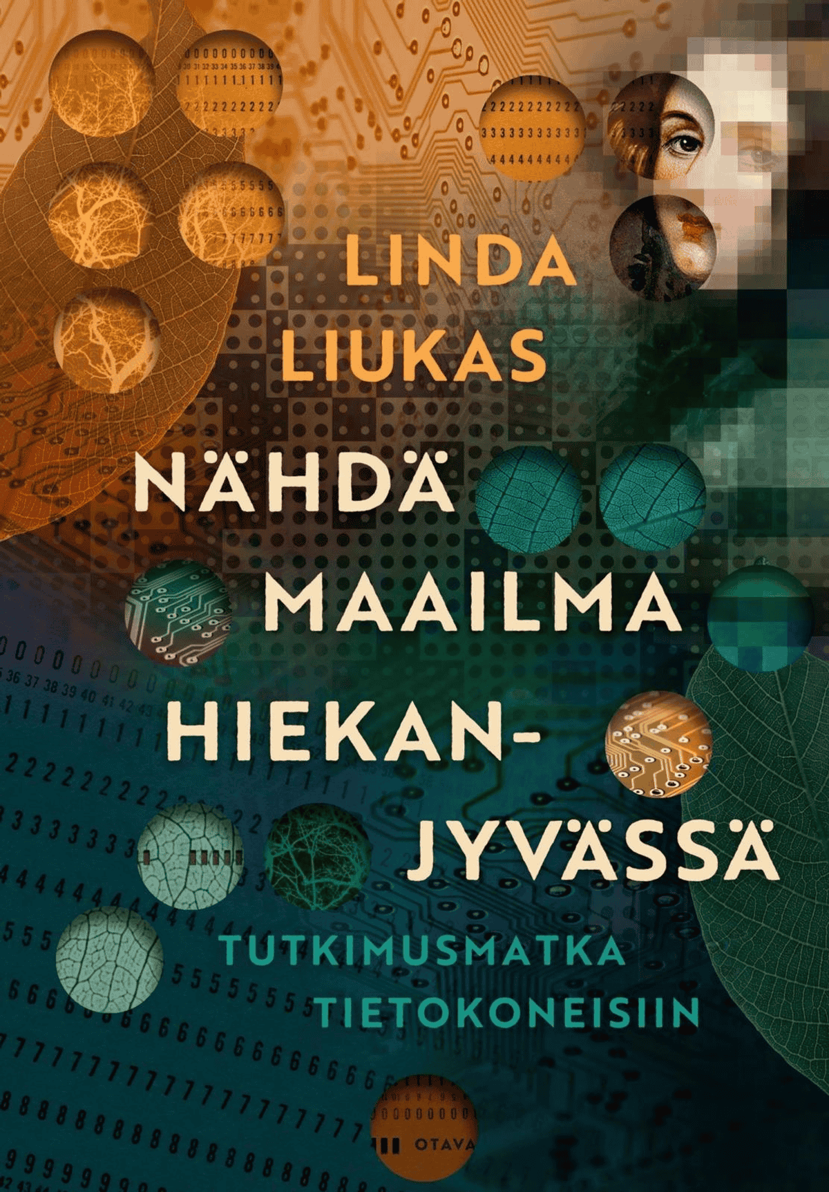 Liukas, Nähdä maailma hiekanjyvässä - Tutkimusmatka tietokoneisiin ...