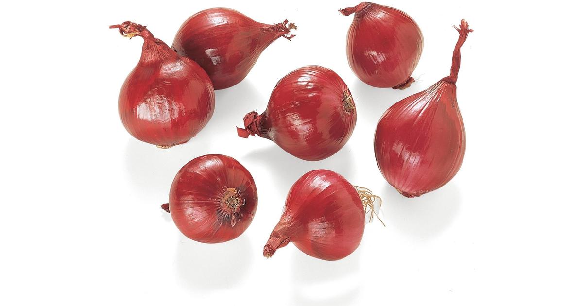 Punasipuli | S-kaupat ruoan verkkokauppa