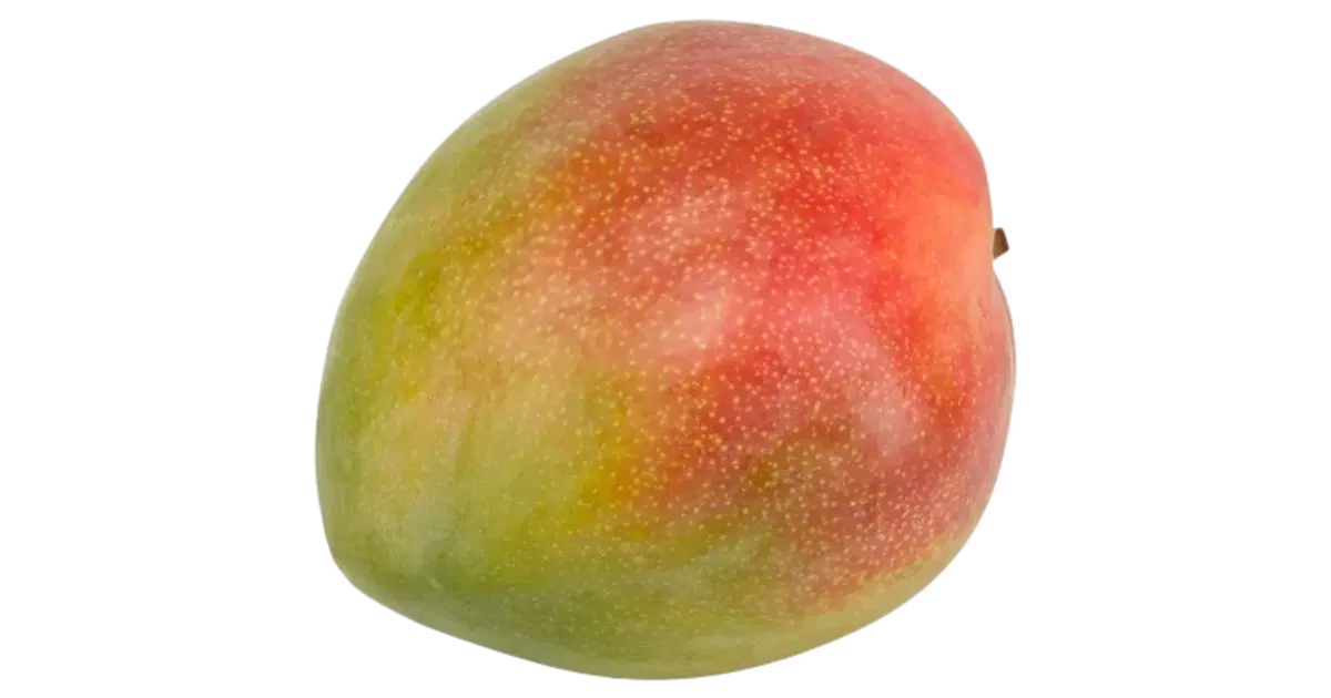 Mango | Prisma | alati odavad hinnad, telli kaup otse koju