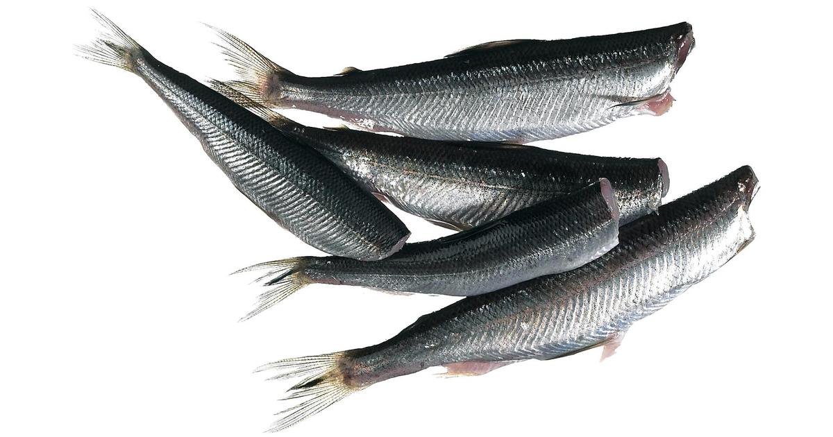 Muikku perattu | S-kaupat ruoan verkkokauppa