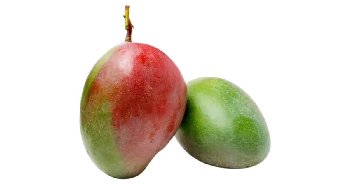 Mango | Prisma | alati odavad hinnad, telli kaup otse koju
