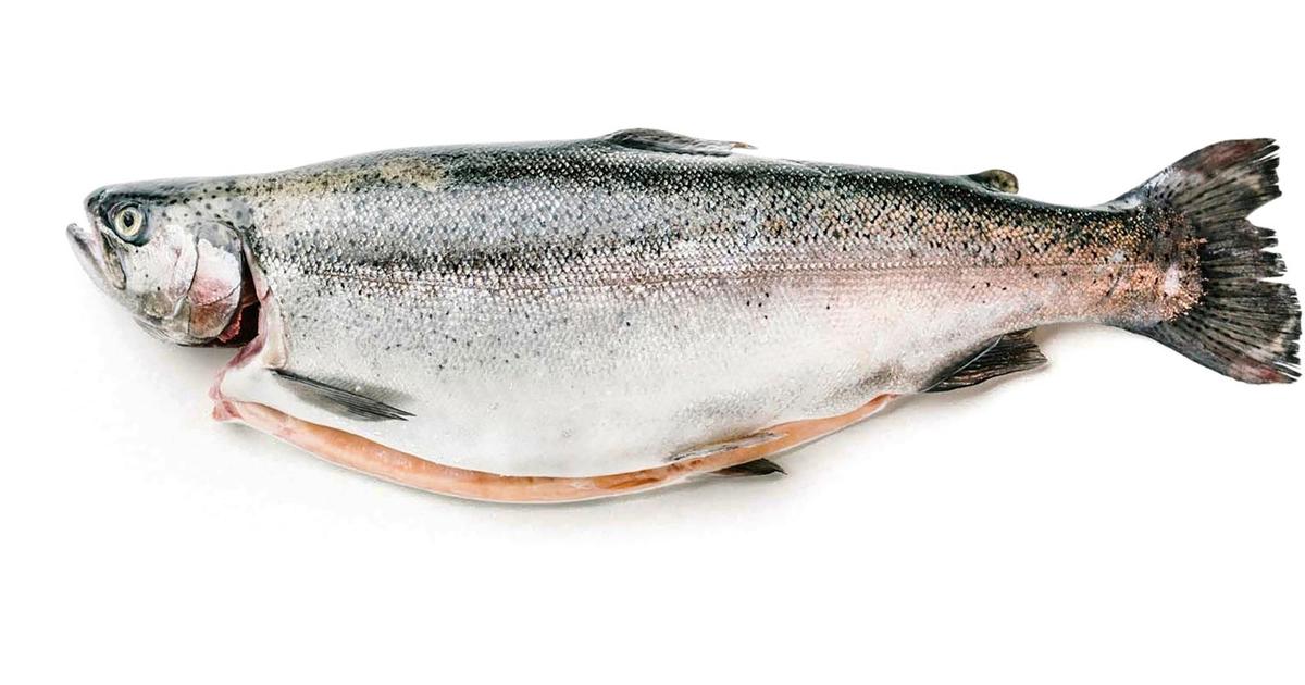 Lohi kokonainen Norja 1-2kg | S-kaupat ruoan verkkokauppa