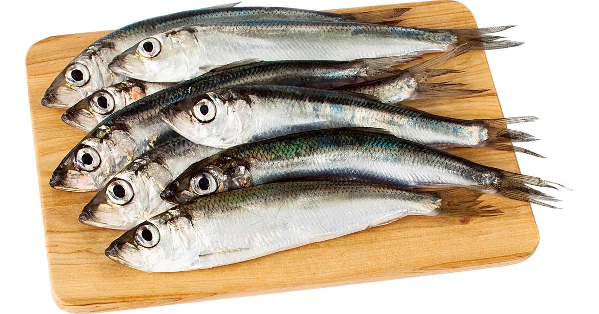 Silakka MSC | S-kaupat ruoan verkkokauppa