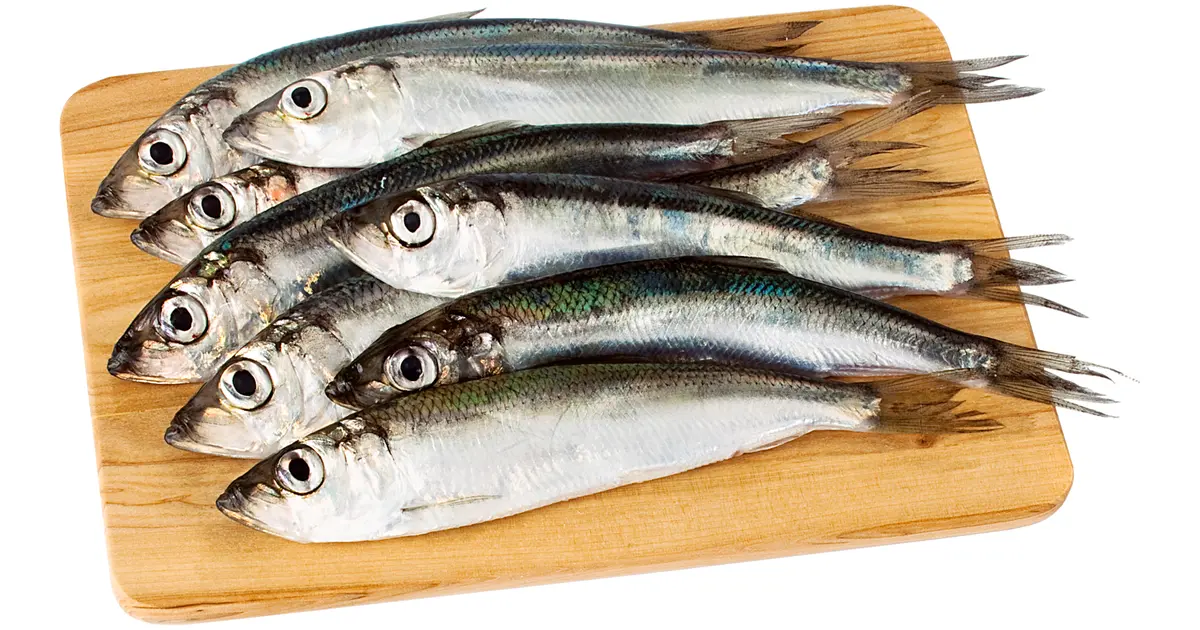 Martin Kala silakka msc | S-kaupat ruoan verkkokauppa