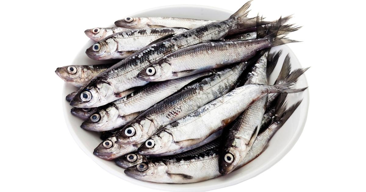 Muikku, tuore, pyöreä | S-kaupat ruoan verkkokauppa