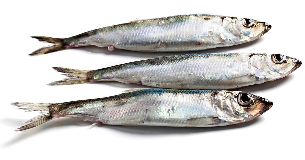 SILAKKA VALTANEN | S-kaupat ruoan verkkokauppa