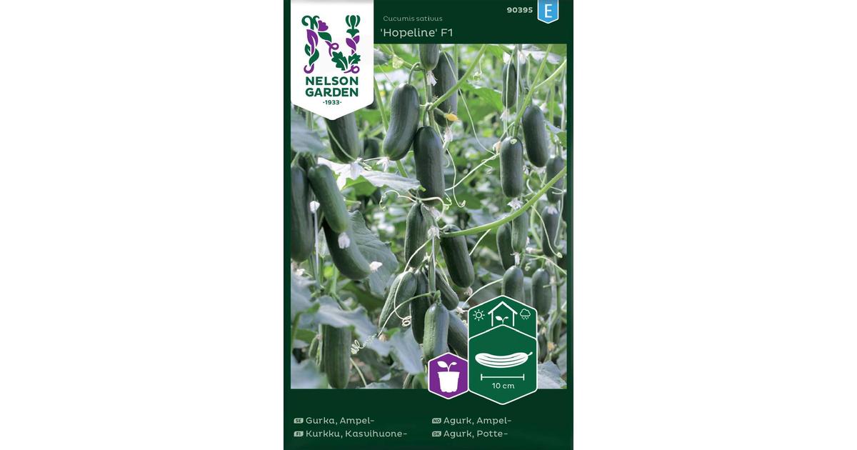 90395 kurk, amppeli-, hopeline f1 | Prisma | alati odavad hinnad, telli ...