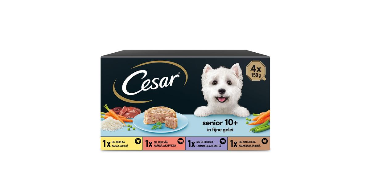 Cesar Senior hyytelölajitelma 4x150g | S-kaupat ruoan verkkokauppa