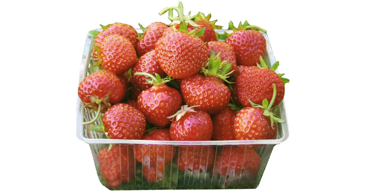 Mansikka 500 g | S-kaupat ruoan verkkokauppa