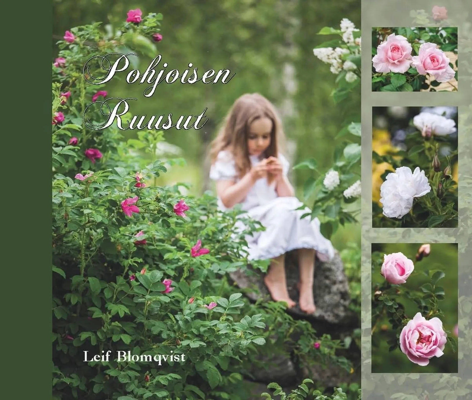 Blomqvist, Pohjoisen ruusut | Prisma verkkokauppa