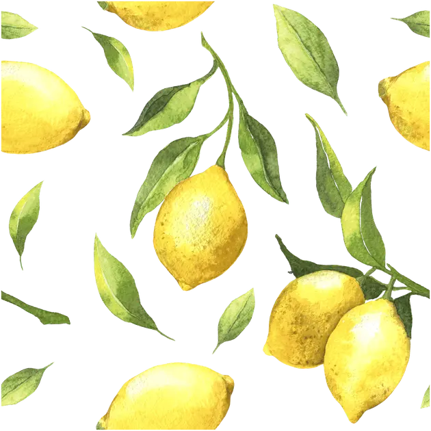 PAPER + DESIGN lautasliina Citrus 24x24cm 3-krs 20kpl | Sokos verkkokauppa PAPER + DESIGN lautasliina Citrus 24x24cm 3-krs 20kpl | Sokos verkkokauppa