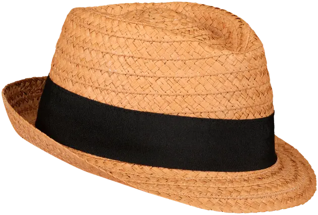 Salon Straw Hat Trilby olkihattu | Sokos verkkokauppa
