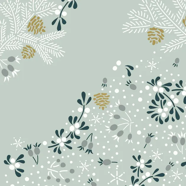 PAPER + DESIGN lautasliina Frosty Florals 33x33cm 3-krs 20kpl | Sokos ... PAPER + DESIGN lautasliina Frosty Florals 33x33cm 3-krs 20kpl | Sokos ...