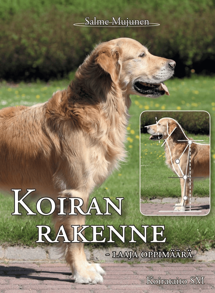 Mujunen, Koiran rakenne - Laaja oppimäärä | Prisma verkkokauppa