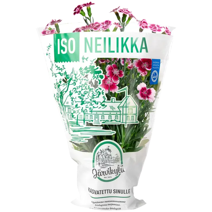 Järvikylä min45g Neilikka, Iso | S-kaupat ruoan verkkokauppa
