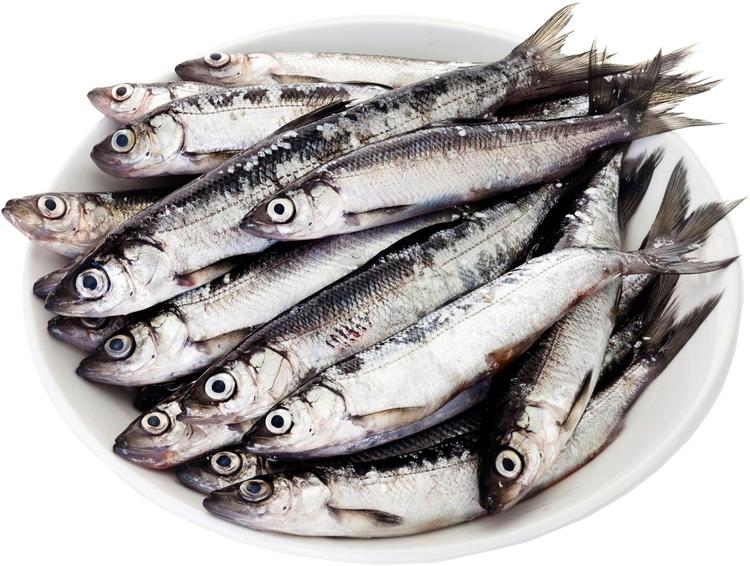 Muikku iso | S-kaupat ruoan verkkokauppa