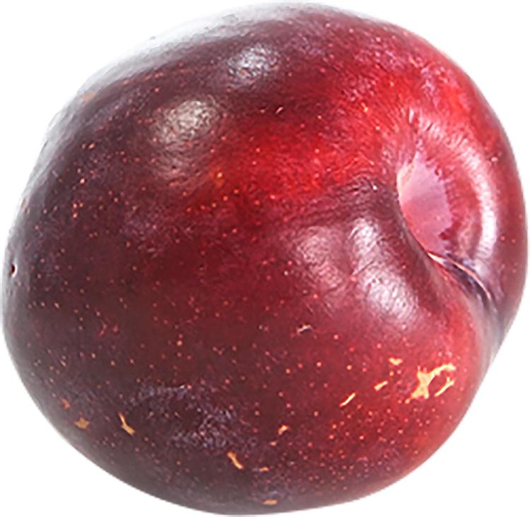 Luumu tumma President | S-kaupat ruoan verkkokauppa